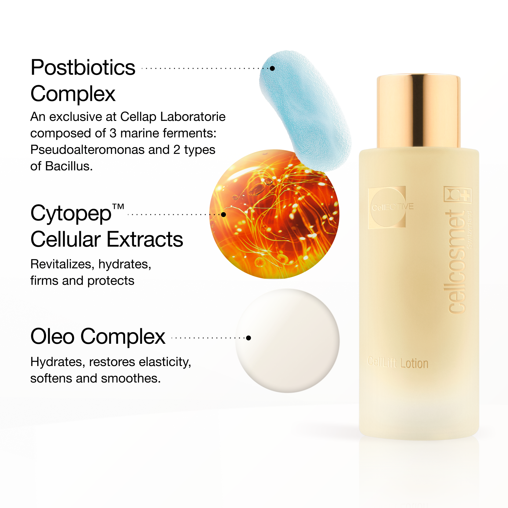 CellLift Lotion Essence | Cellcosmet CellEctive – Cellcosmet US